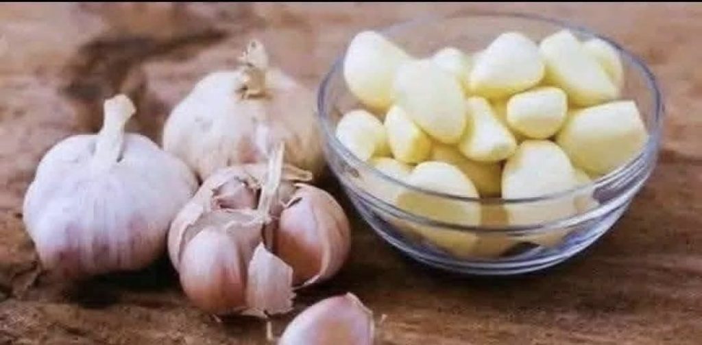 GARLIC KILLS 14 TYPES OF BACTERIA AND 13 TYPES OF INFECTIONS – Cooking